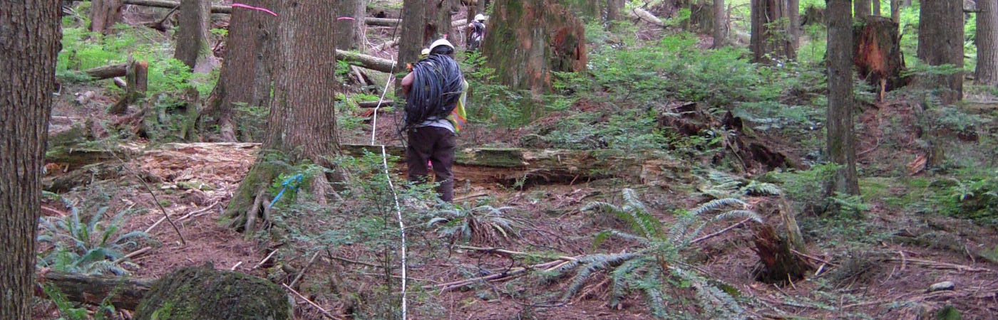 Shallow Earth Imaging & Mapping - Surface Search Inc.