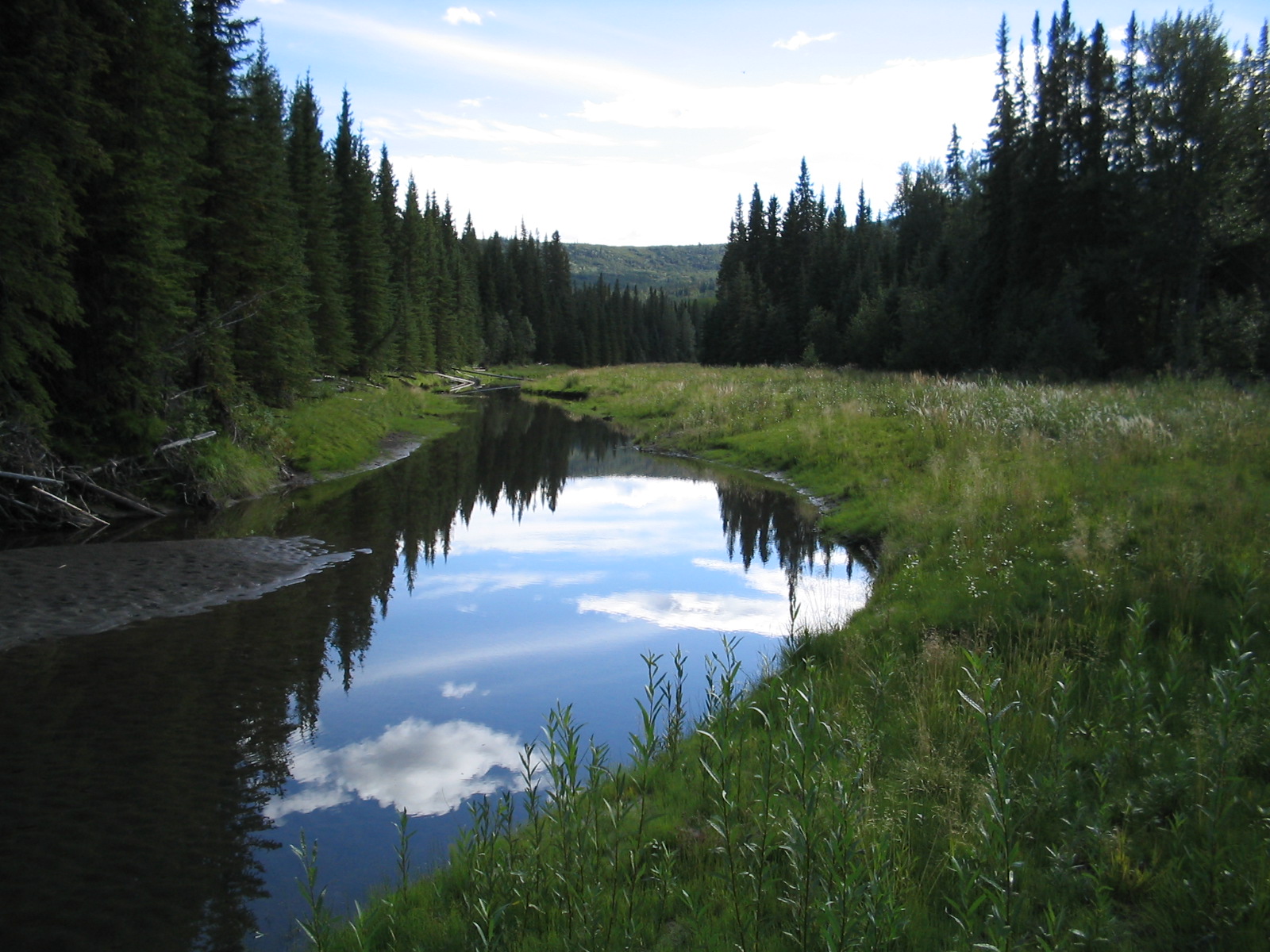 Shallow Earth Imaging & Mapping - Surface Search Inc.